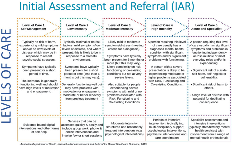 Introducing the Initial Assessment and Referral Decision Support Tool ...