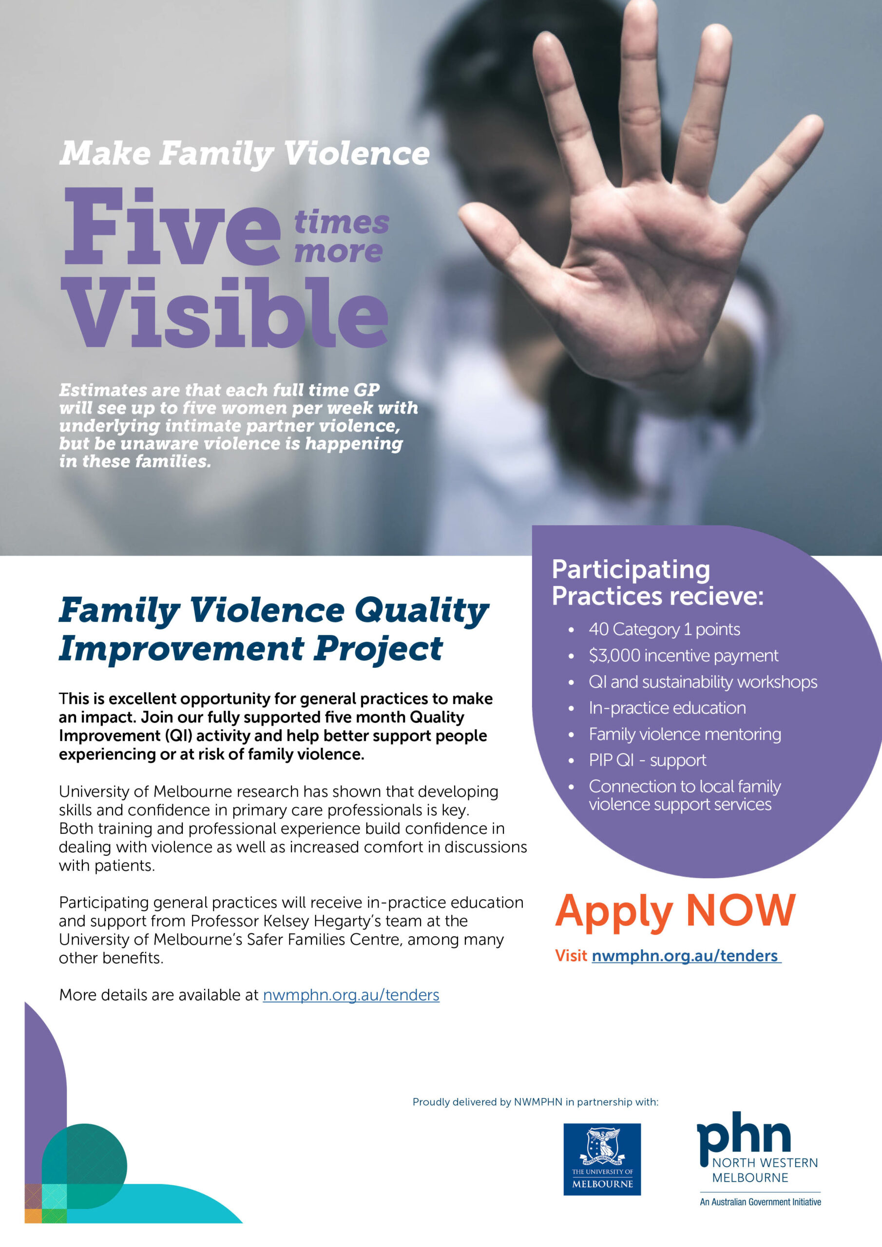 Expressions of Interest: Family Violence QI Project - North Western ...