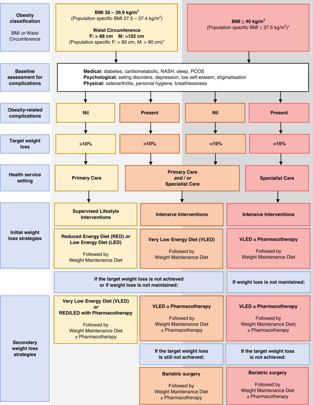 PIP QI in depth: Weight management in general practice – the challenges ...