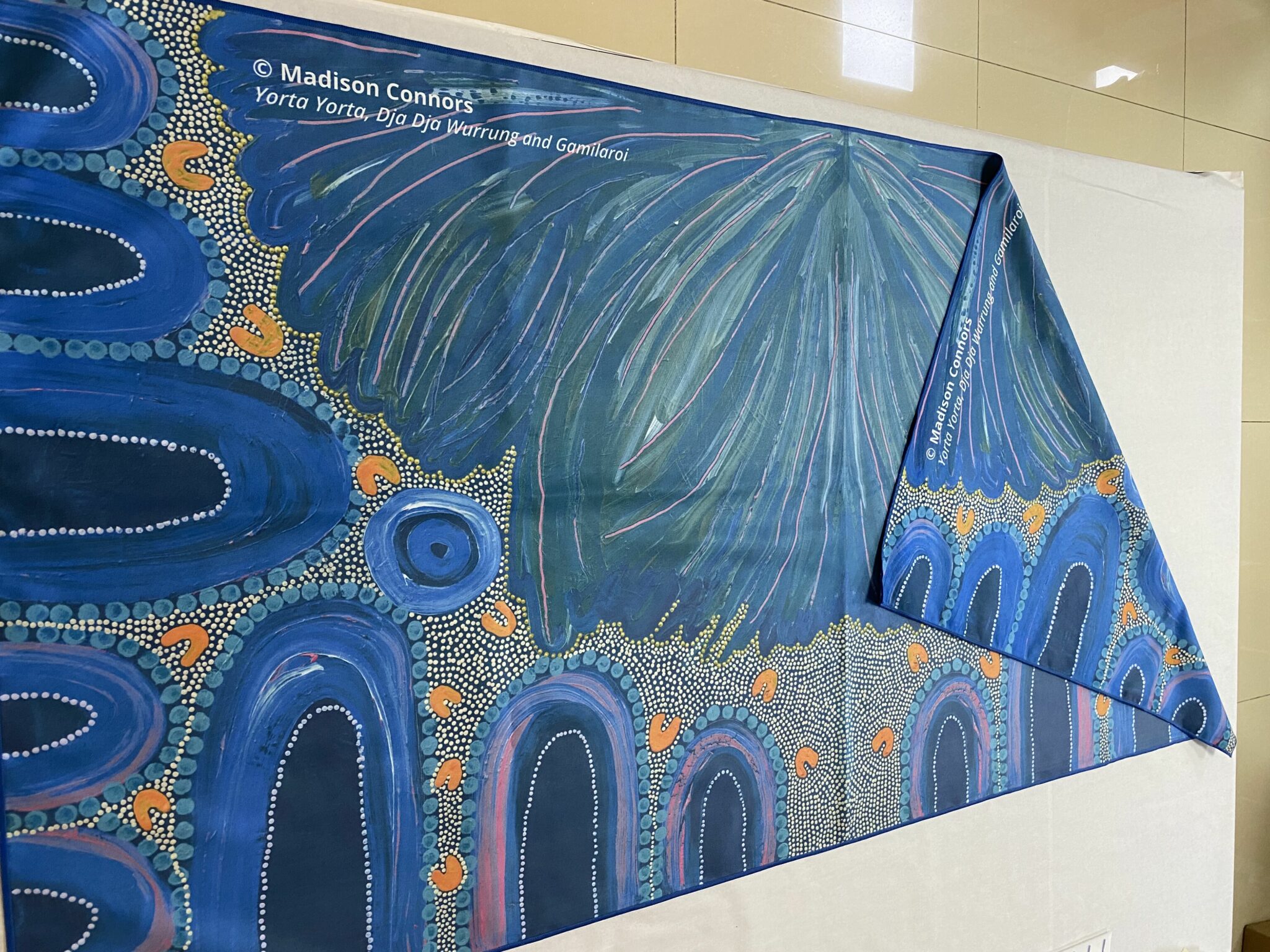 Improving cultural safety in cervical screening for Aboriginal and ...